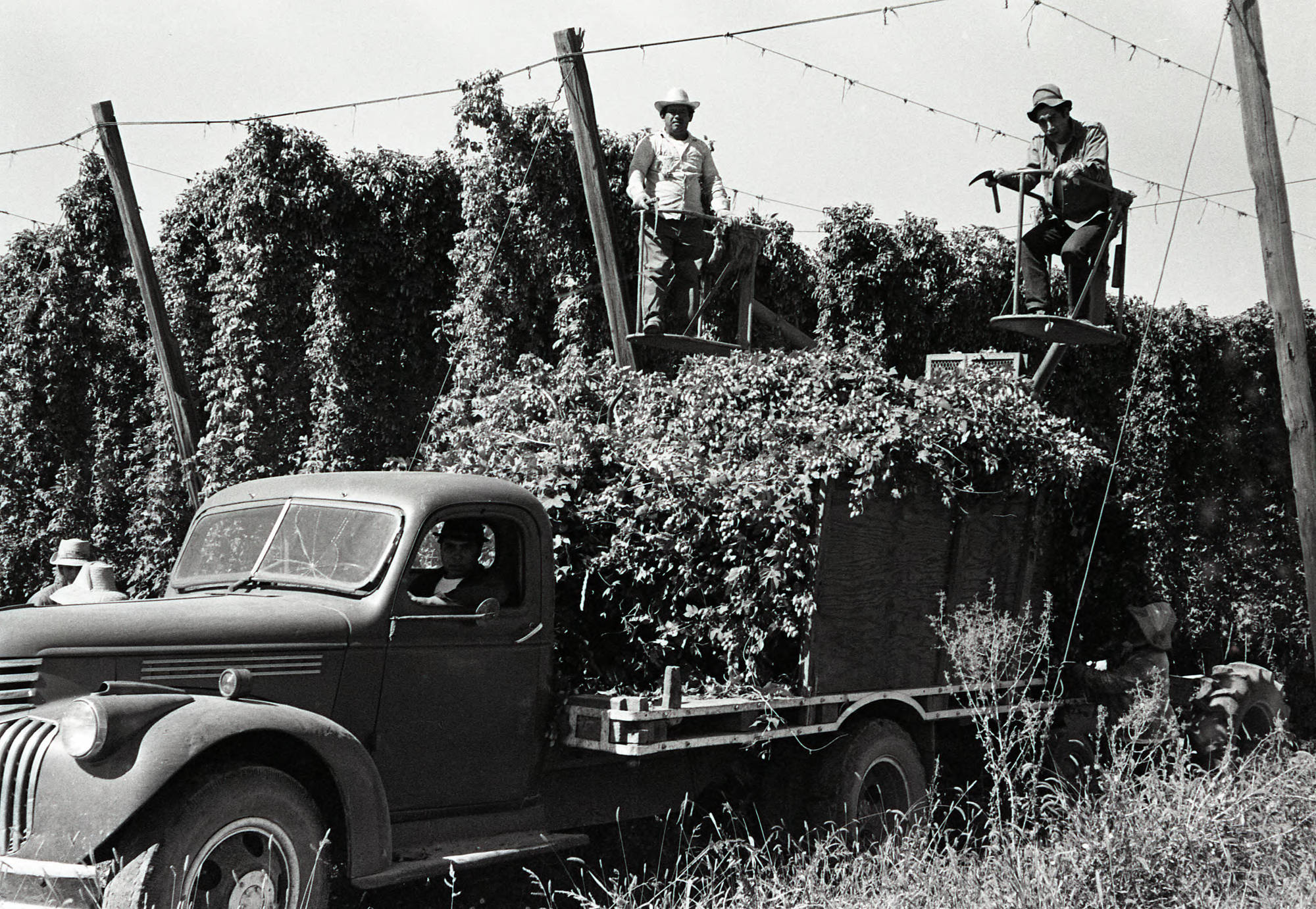 A Life of Meaning: Working for Social Justice with Yakima Valley Heroes ...