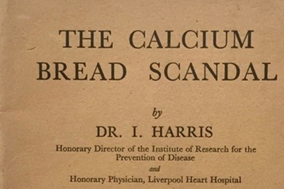 Rare Pamphlet Added to Library Collection – WSU Libraries