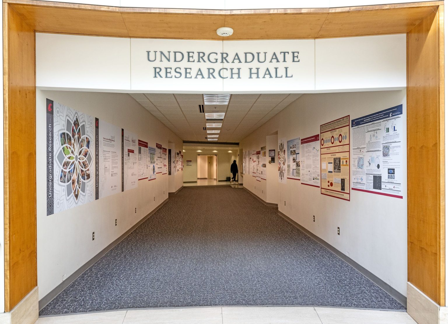 Undergraduate Research Halls Open in Terrell, Owen Libraries, Grand ...